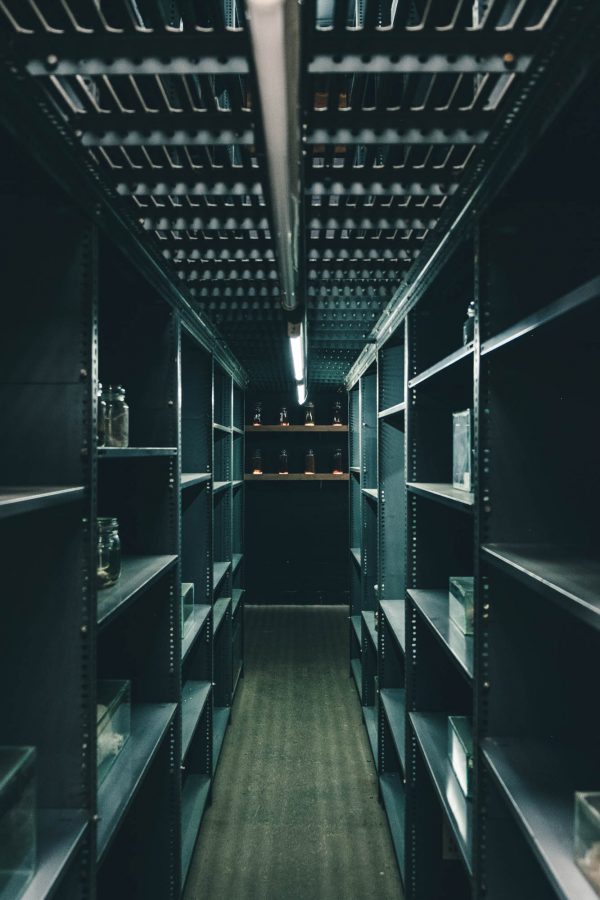 Review: Verbeke Foundation - Wanderlust Pulse