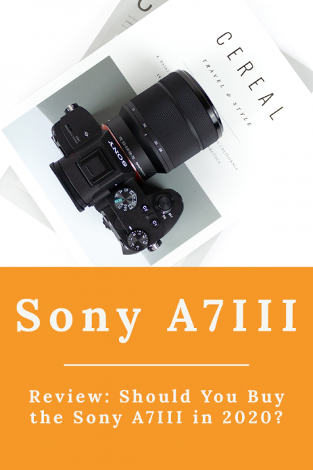 Extensive Sony A7III review (with pictures and details)
