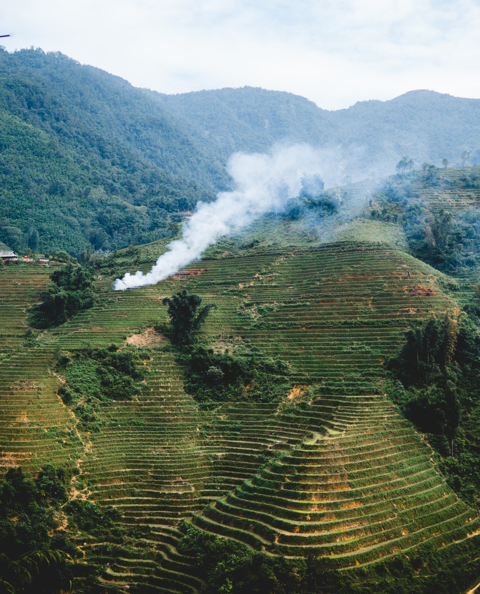 Mount Fansipan, a complete guide (with map and photos)