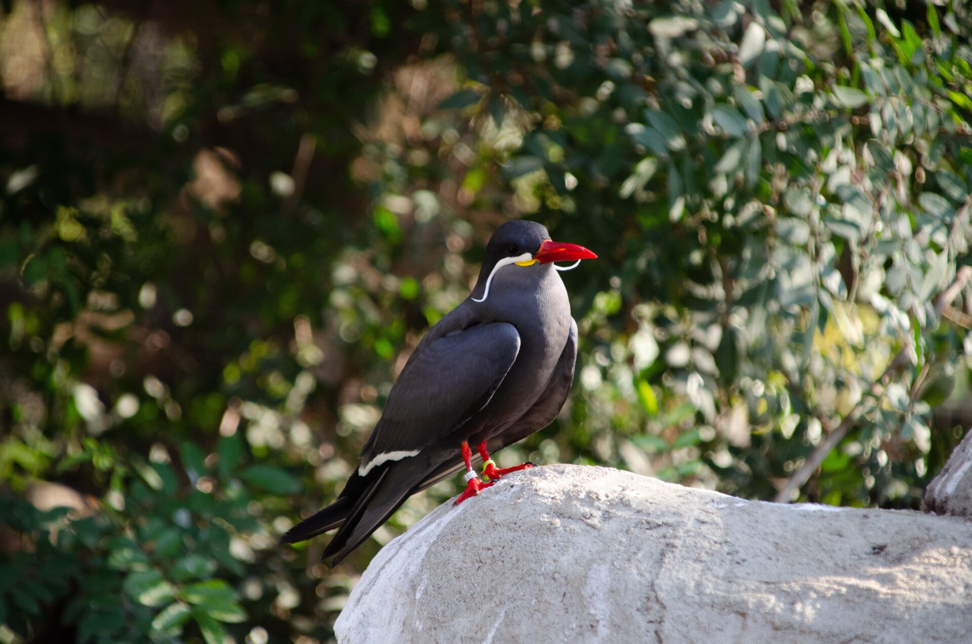 Top 13 Things to Do in Fresno, California - Wanderlust Pulse