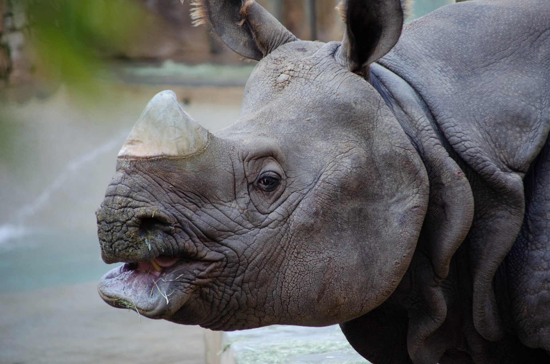 Top 13 Things to Do in Fresno, California - Wanderlust Pulse